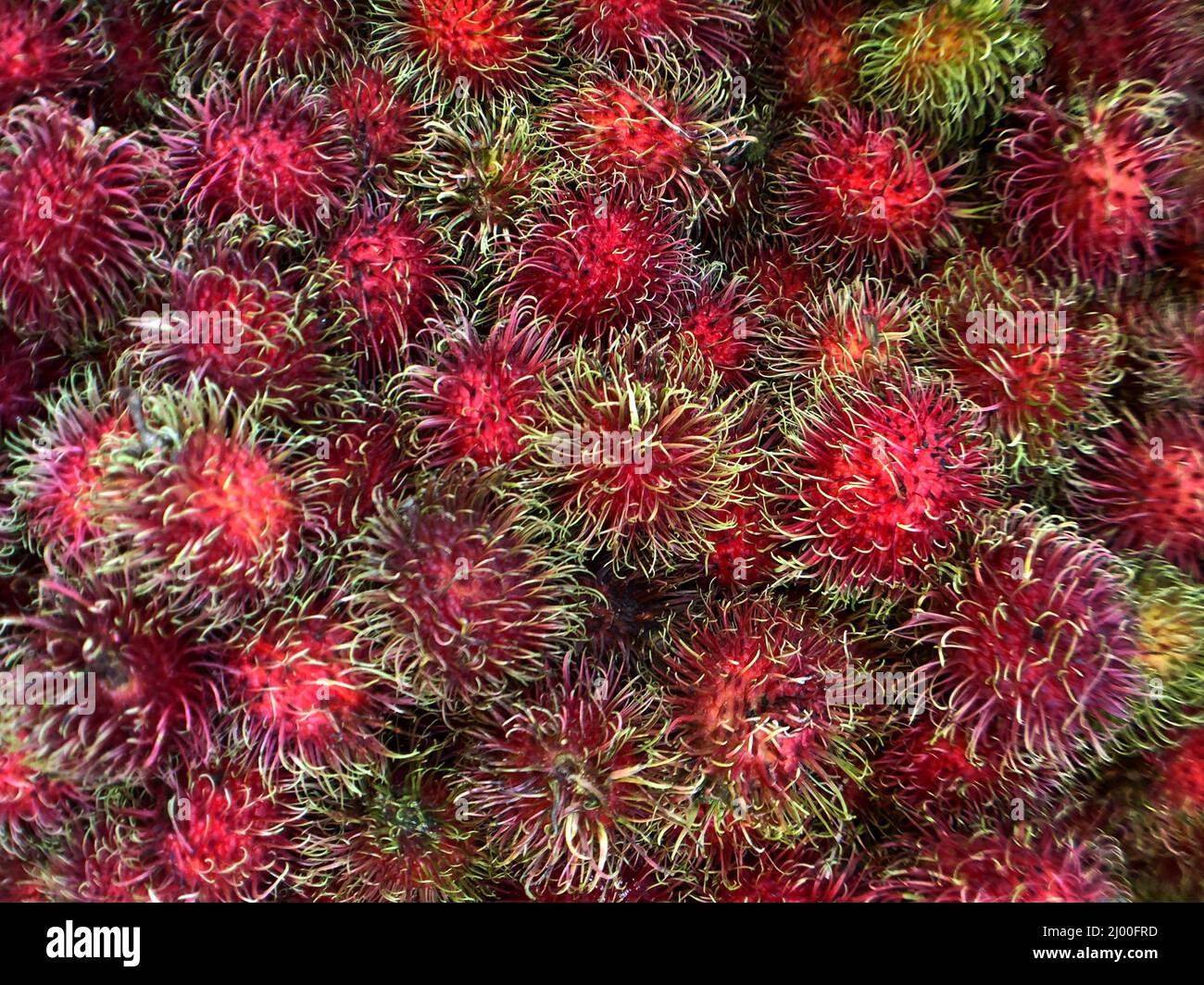 Top view of a stack of red tropical Rambutan fruits Stock Photo - Alamy
