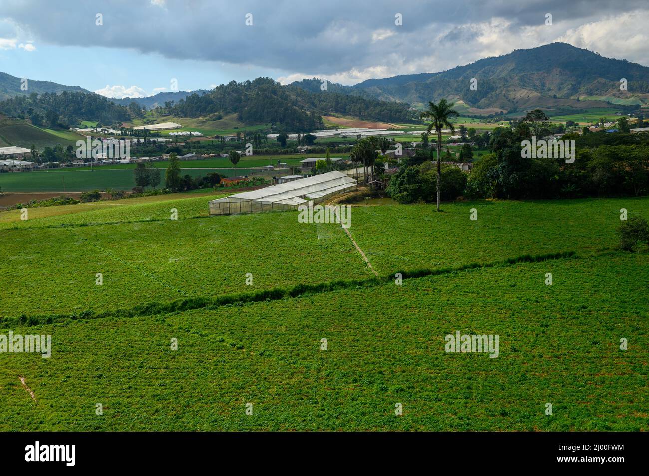 Beautiful agricultural fields in the highlands, Irrigation system in ...