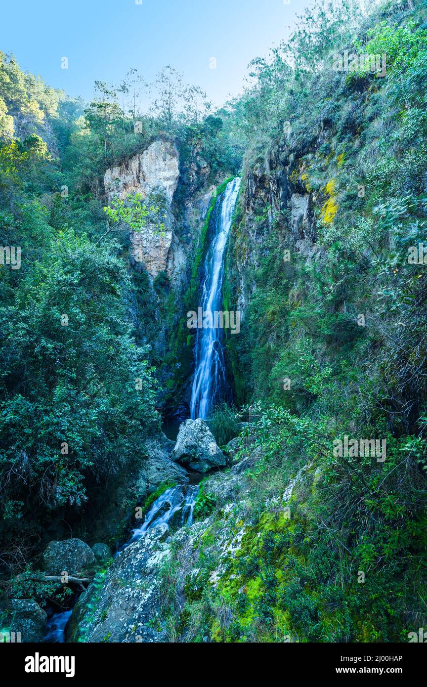 Wildwood cascade hi-res stock photography and images - Alamy