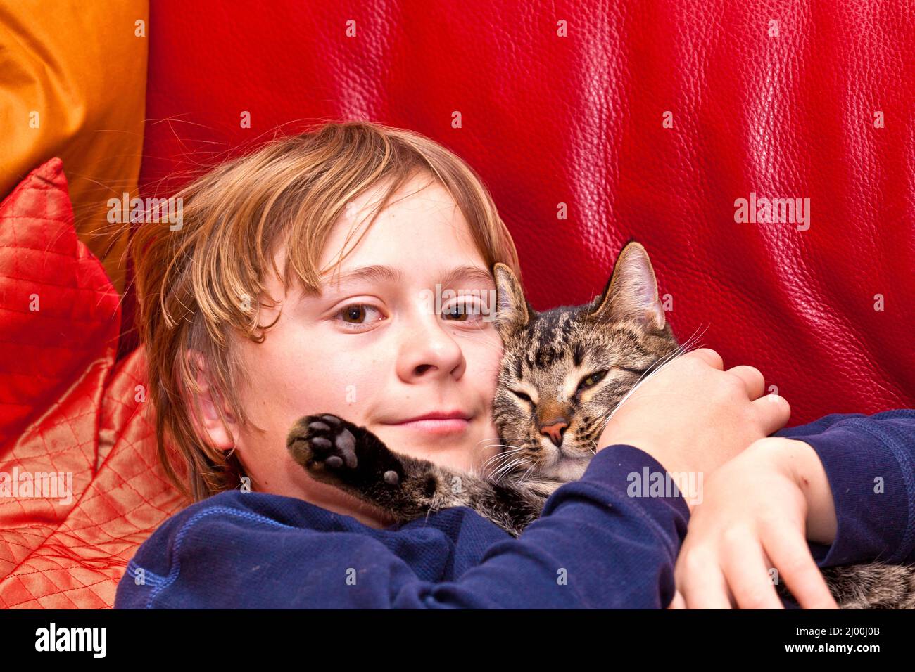 young boy is hugging with his cat at the sofa Stock Photo - Alamy