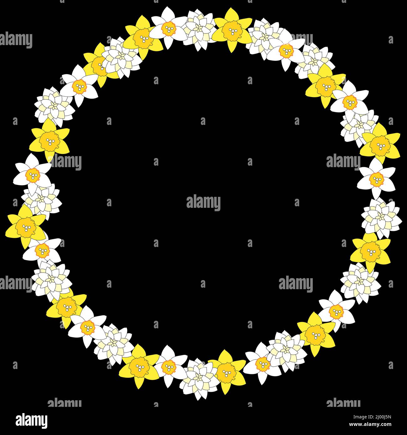 A round frame of yellow daffodil flowers with black background Stock ...