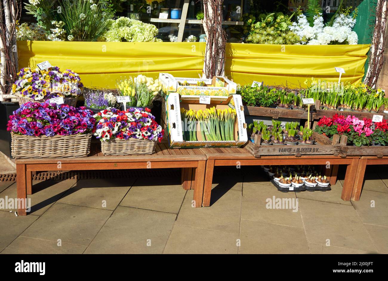 Pavement floral display hi-res stock photography and images - Alamy