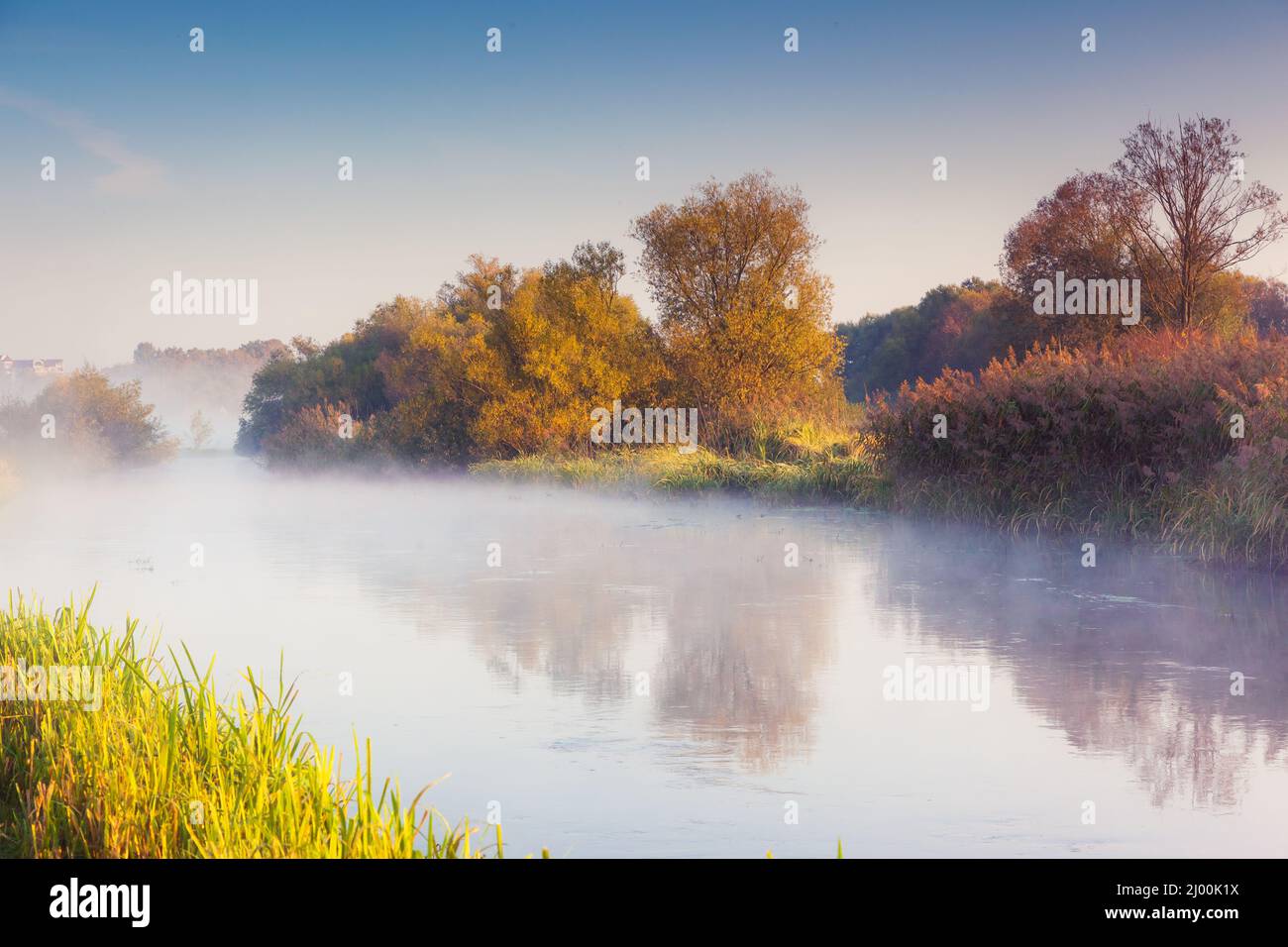 Fantastic foggy valley that glowing by sunlight. Unusual and ...