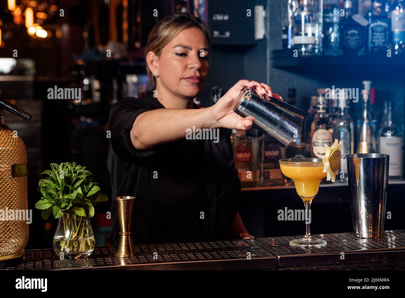 Latina prepares a cocktail at a bar counter. job waitress profession ...
