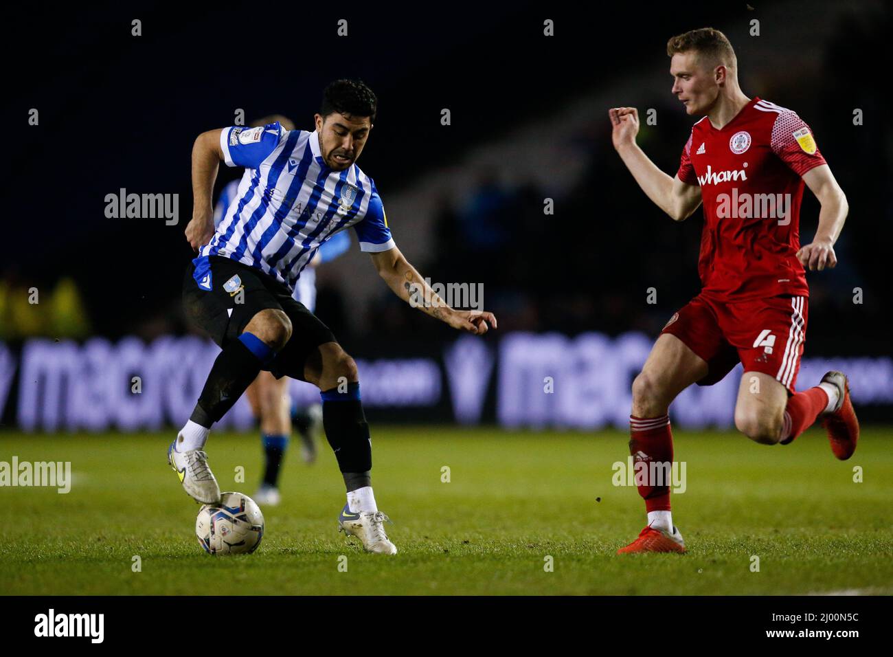 Massimo Luongo #21 of Sheffield Wednesday and Ethan Hamilton #4 of ...