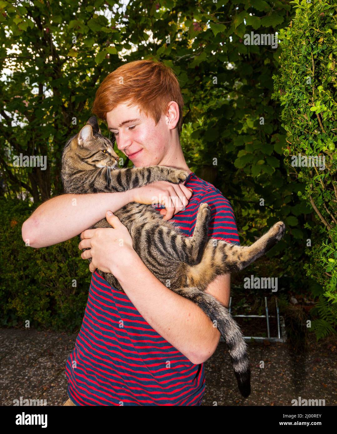 cute boy with red hair with his cat in the arm Stock Photo - Alamy