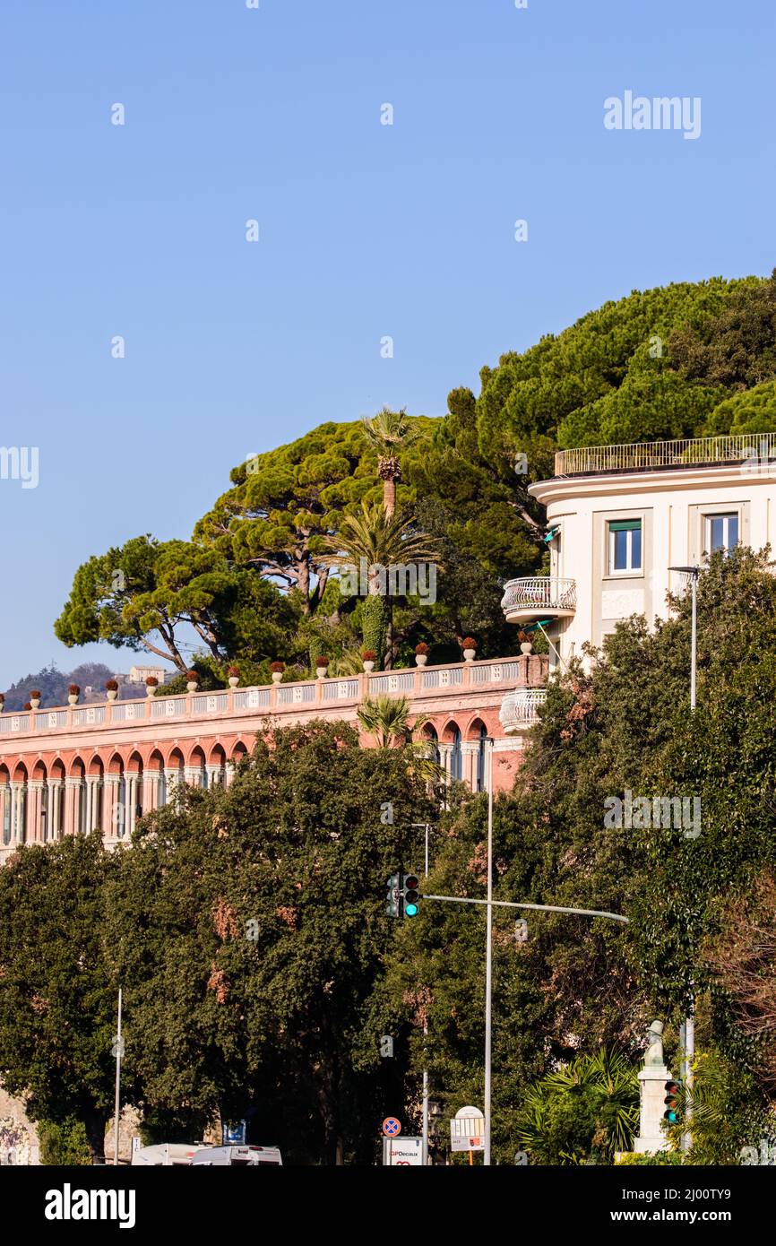 Vertical shot of old european building next to dense green forests in ...