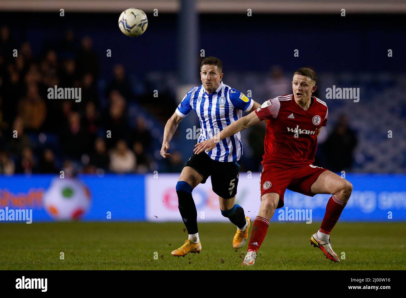 Sam Hutchinson #5 of Sheffield Wednesday and Colby Bishop #9 of ...