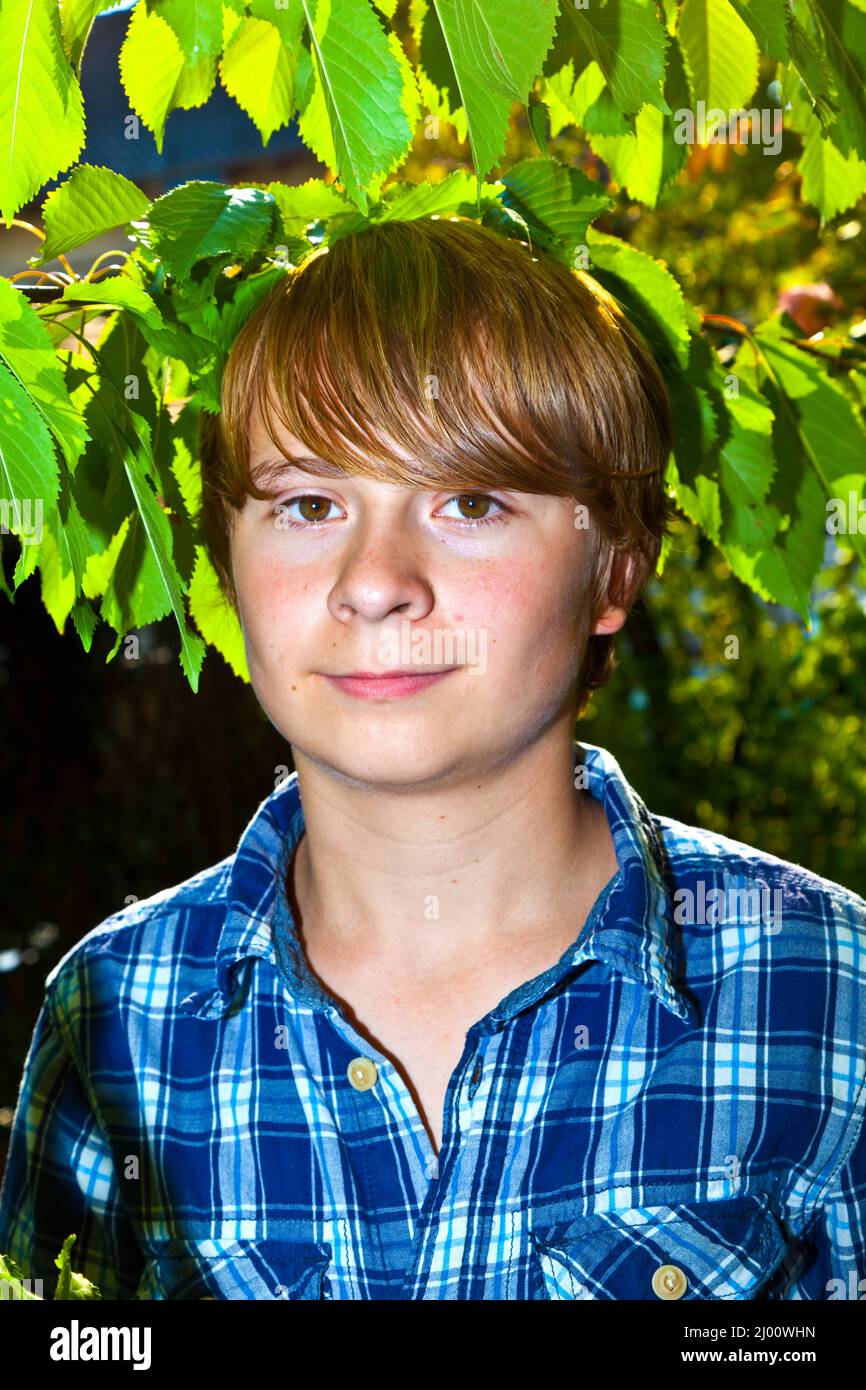 portrait of cute boy in leaves of the tree Stock Photo - Alamy
