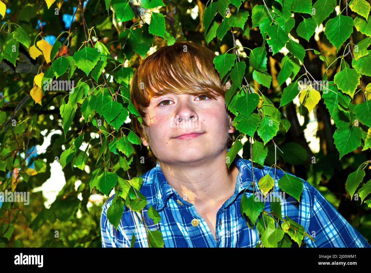 portrait of cute boy in leaves of the tree Stock Photo - Alamy