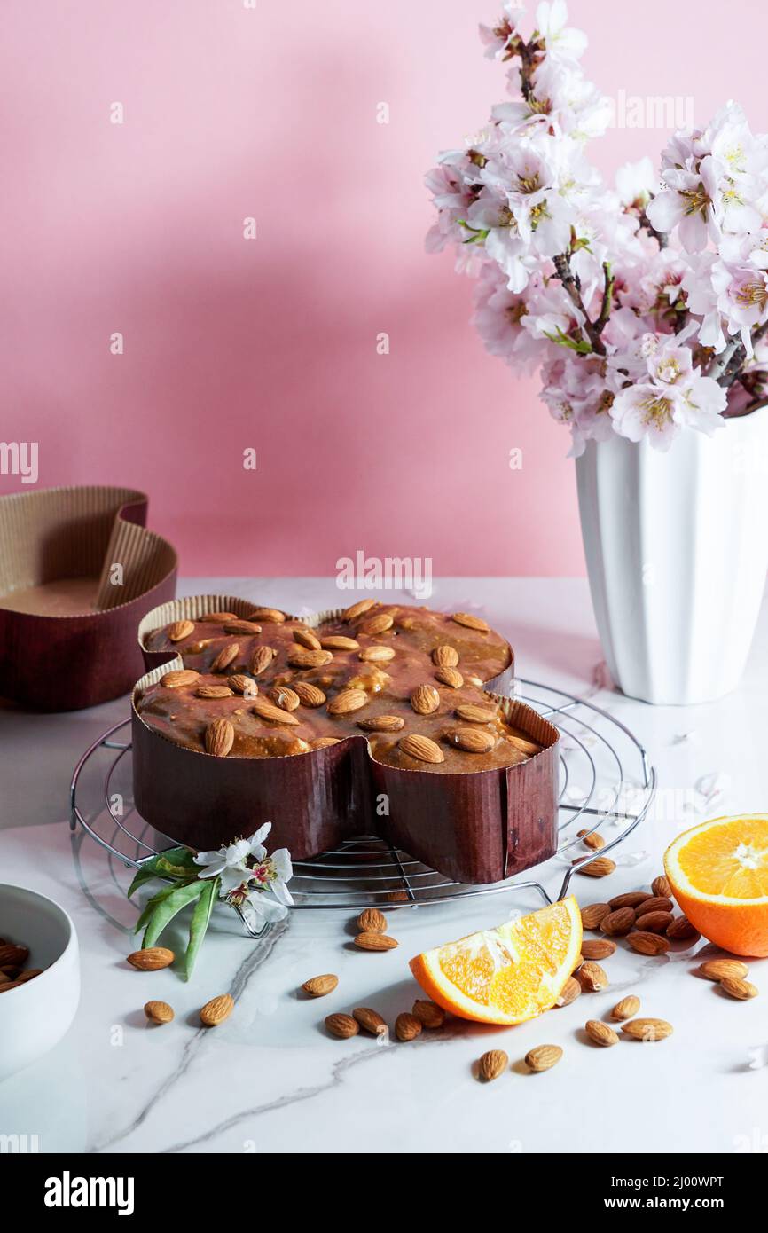 Colomba - traditional italian easter dove cake, process of decorating ...