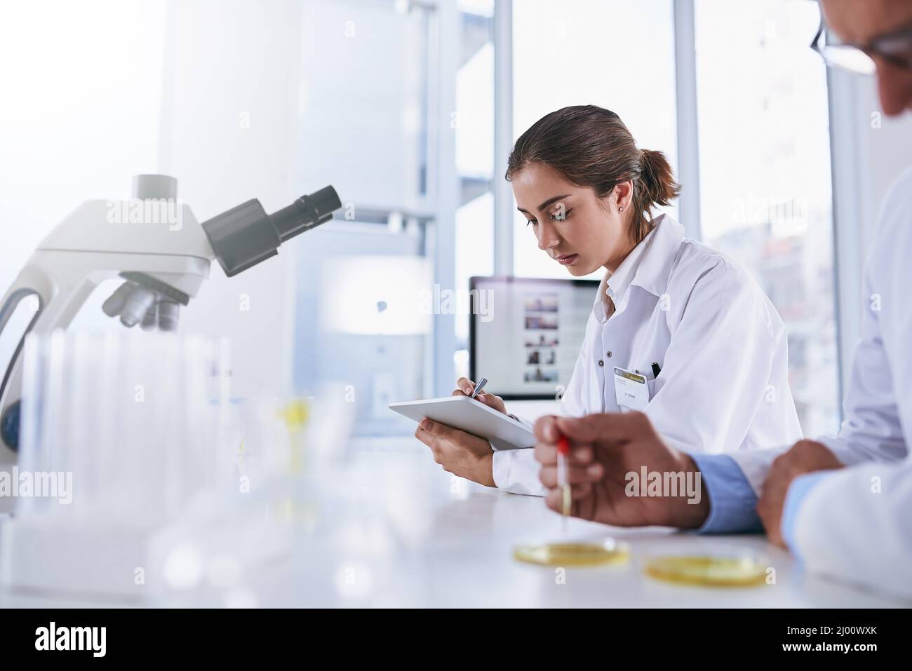 Its a high-tech workspace. Shot of two scientists working in a lab ...