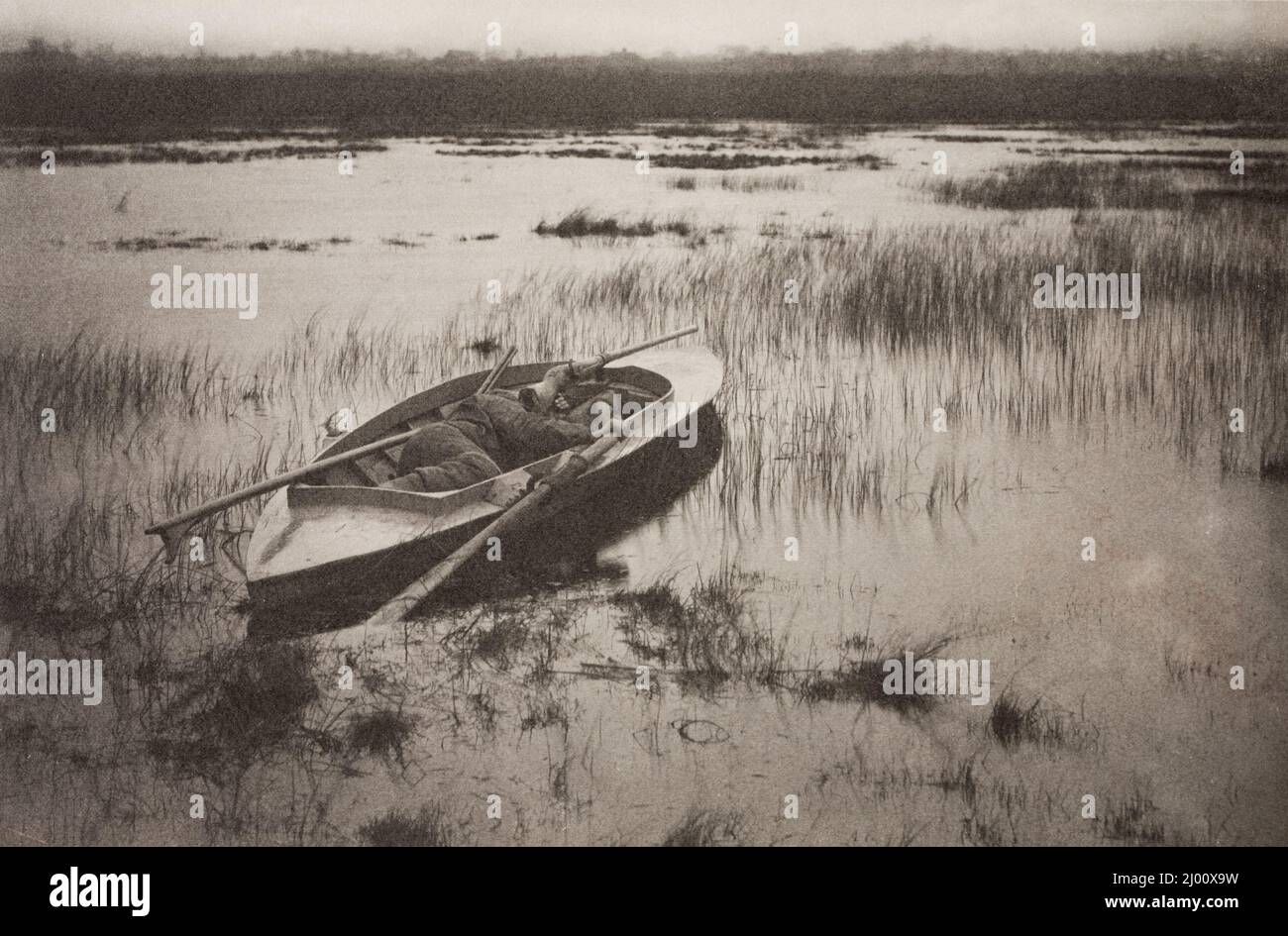 Gunner Working Up to Fowl. Peter Henry Emerson (Cuba, active England ...