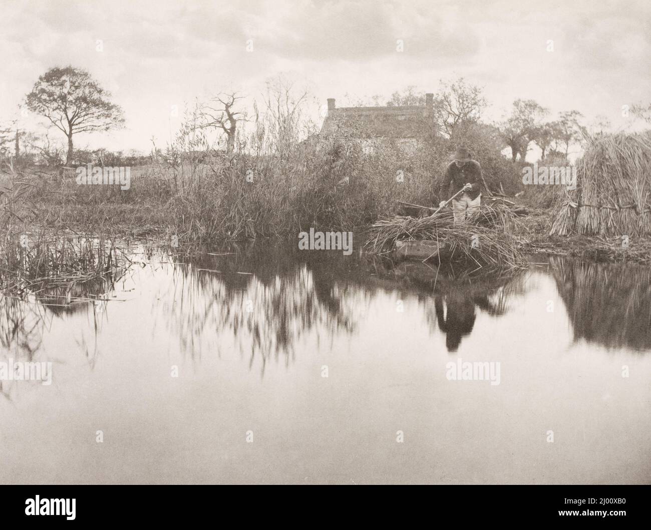 Quanting the Gladdon. Peter Henry Emerson (Cuba, active England, 1856 ...