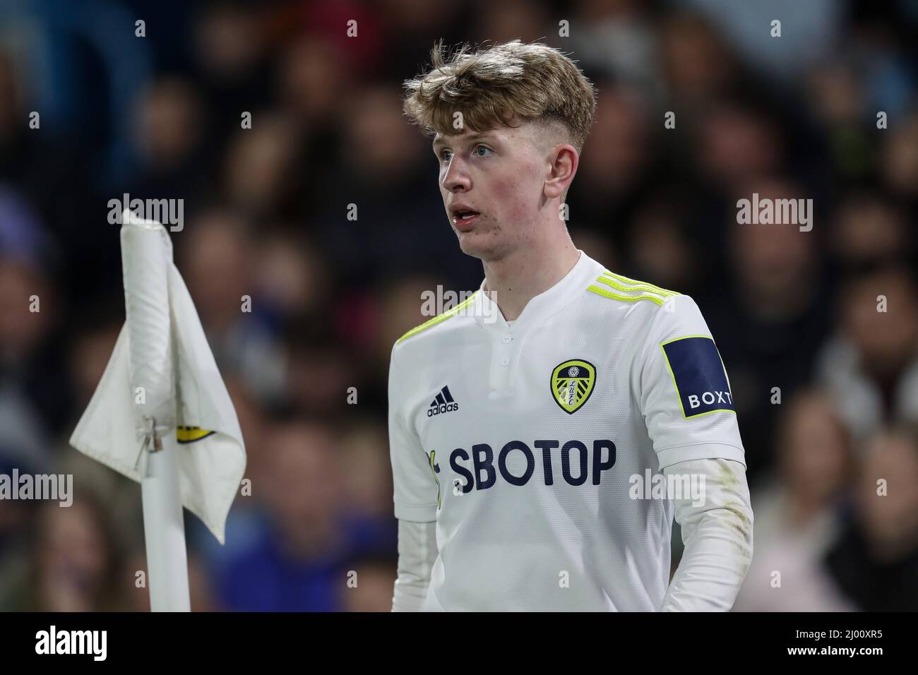 Stuart Mckinstry High Resolution Stock Photography and Images - Alamy