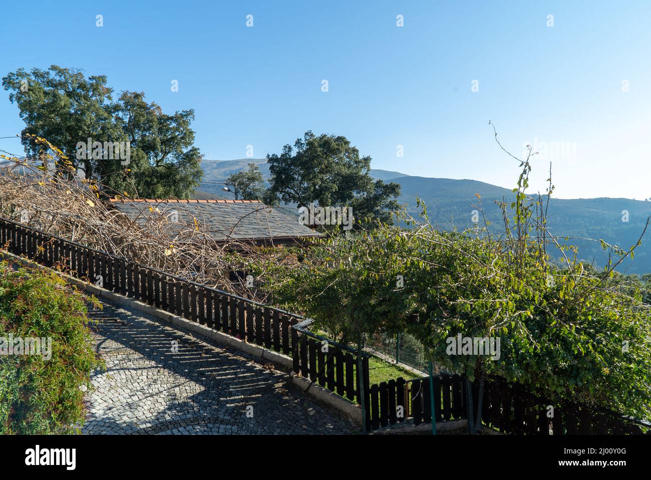 View of a narrow pedestrian crossing with a wooden fence, trees and ...