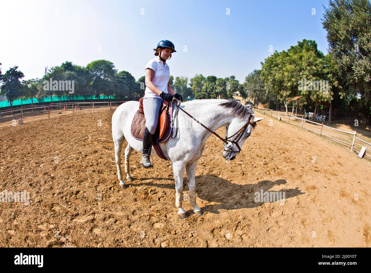 female rider trains the horse in the riding course Stock Photo - Alamy