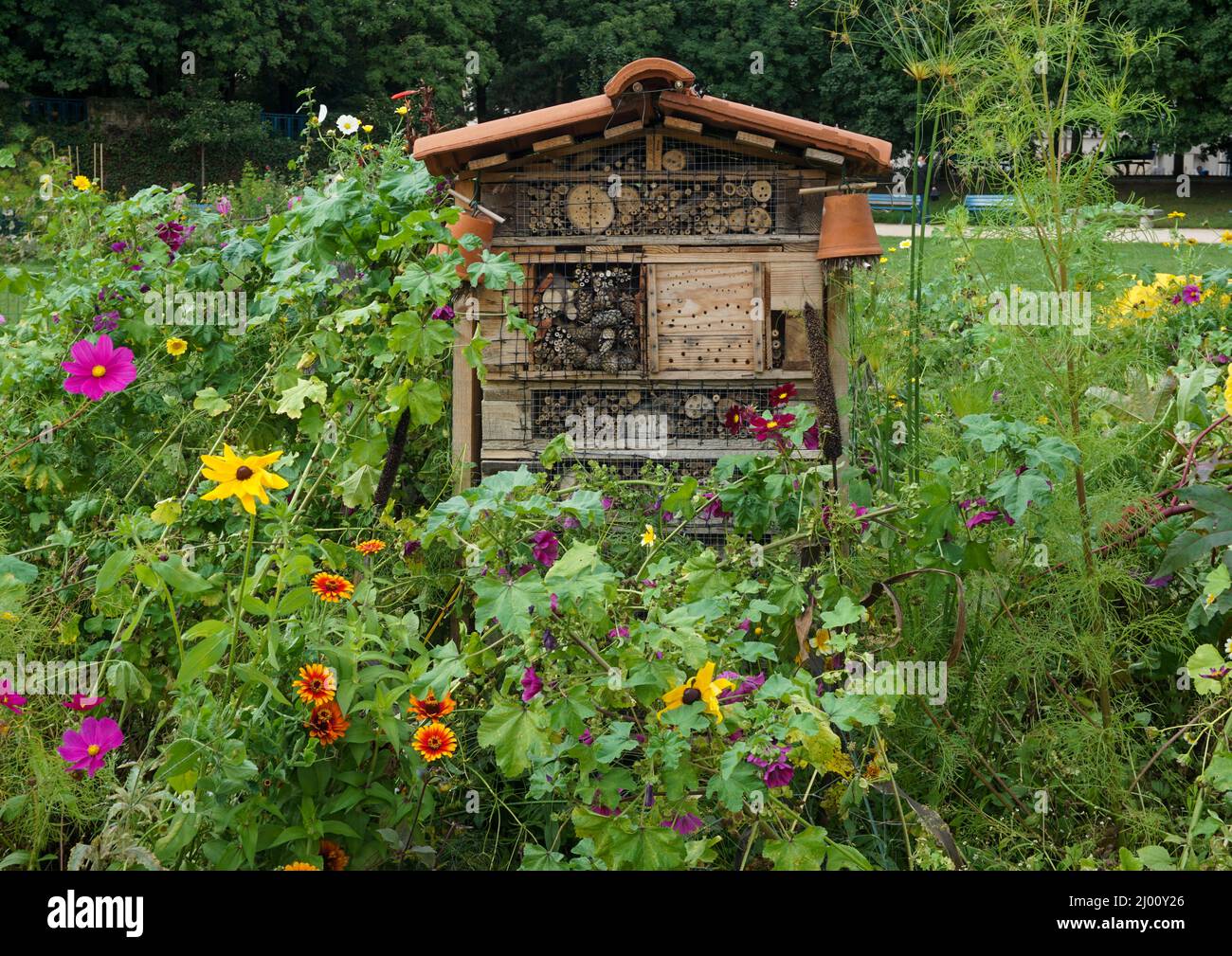 Insects paris hi-res stock photography and images - Alamy