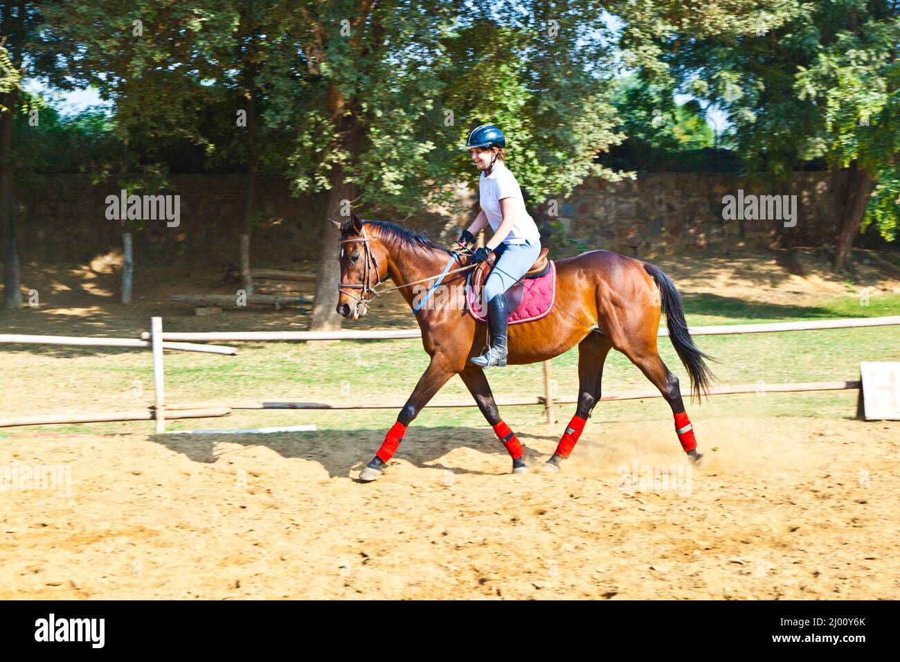 female rider trains the horse in the riding course Stock Photo - Alamy