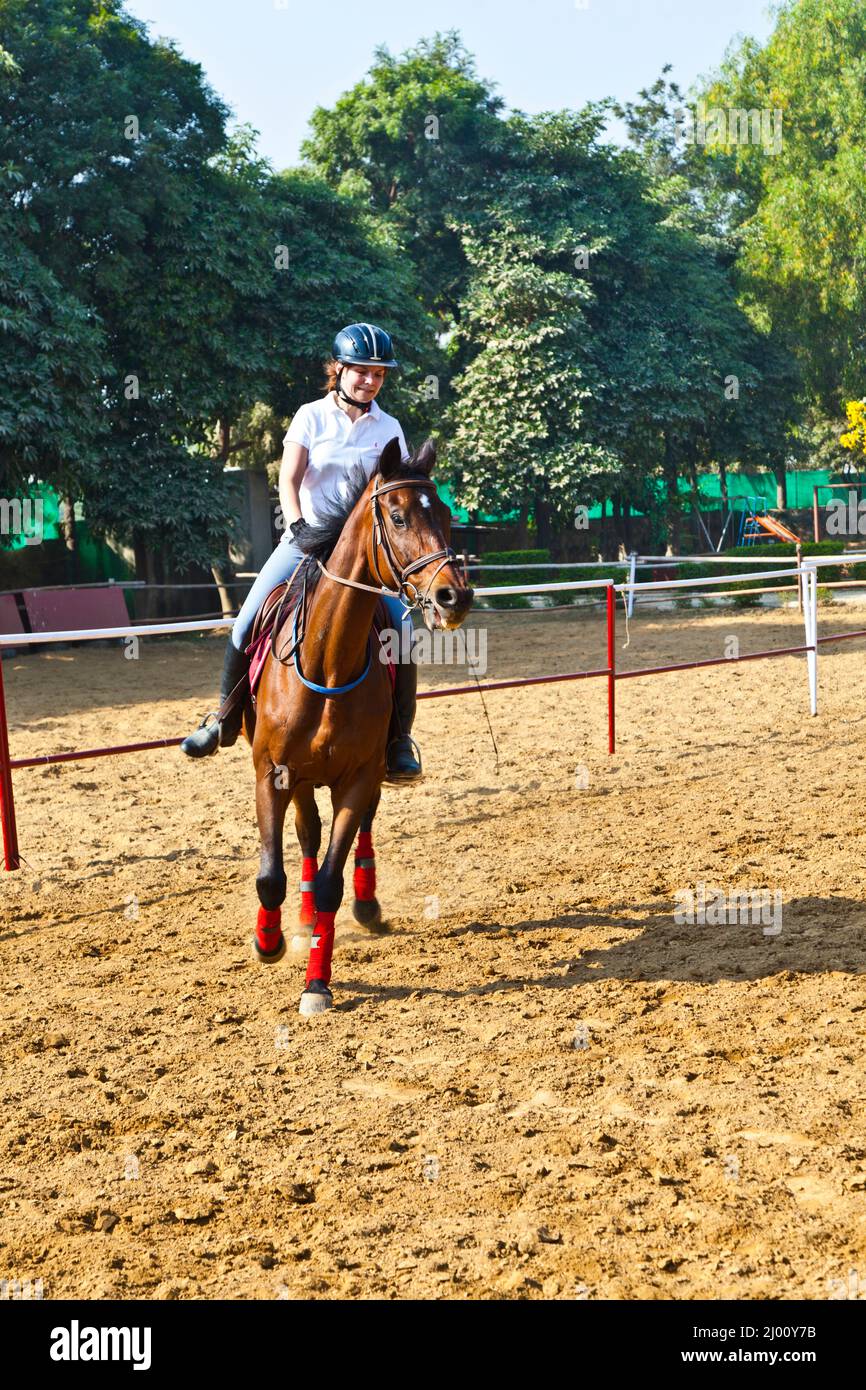 female rider trains the horse in the riding course Stock Photo - Alamy