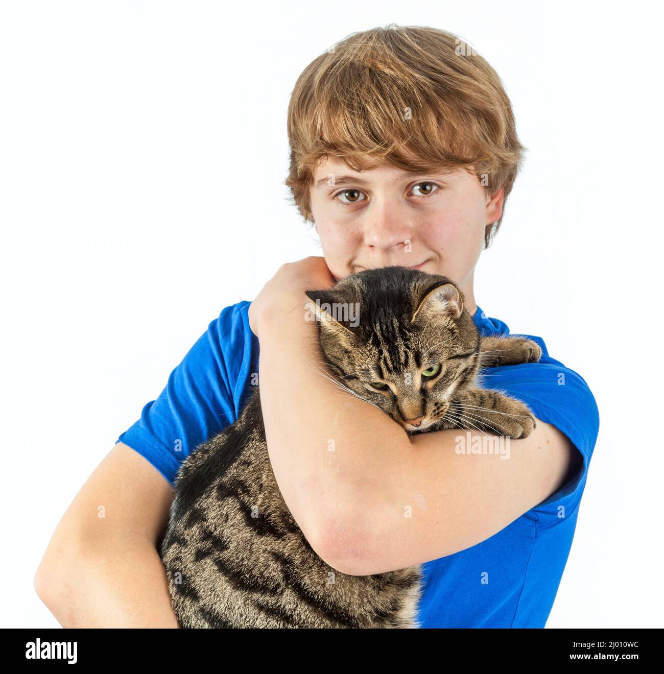 portrait of handsome teenage boy with his cat Stock Photo - Alamy