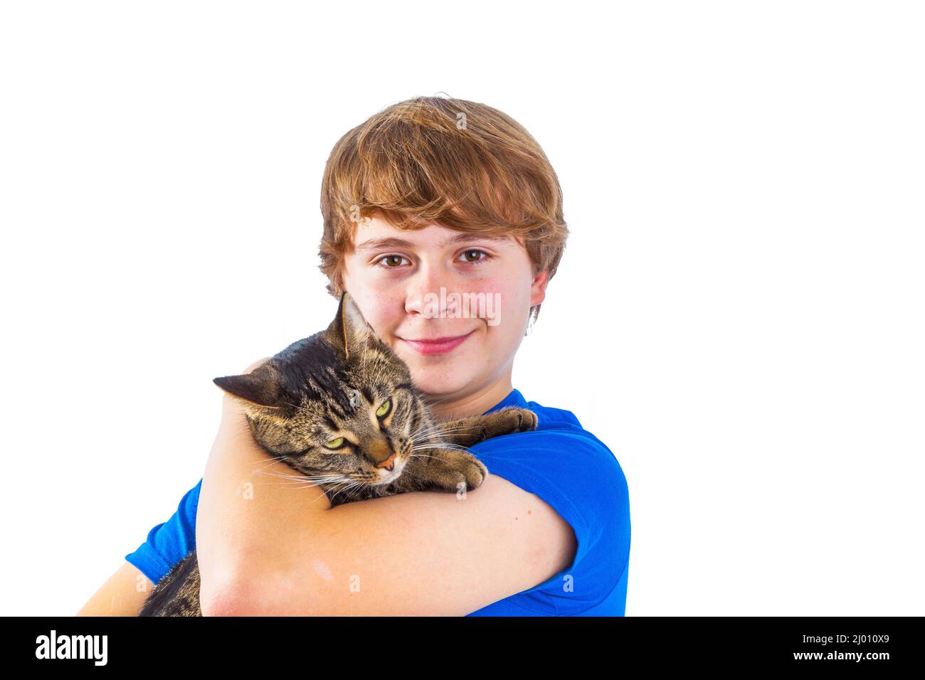 boy hugging with his cat Stock Photo - Alamy