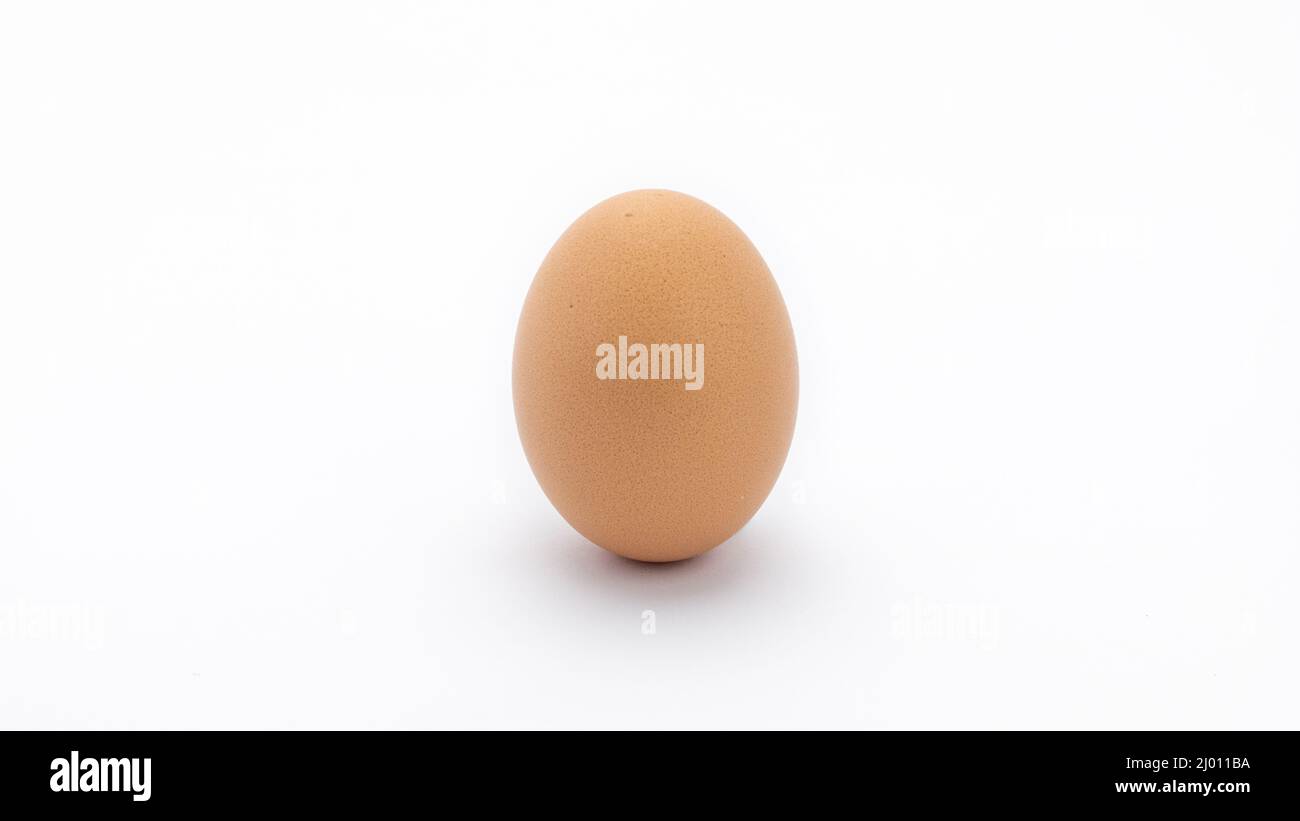 Closeup of an egg isolated on a white background Stock Photo - Alamy