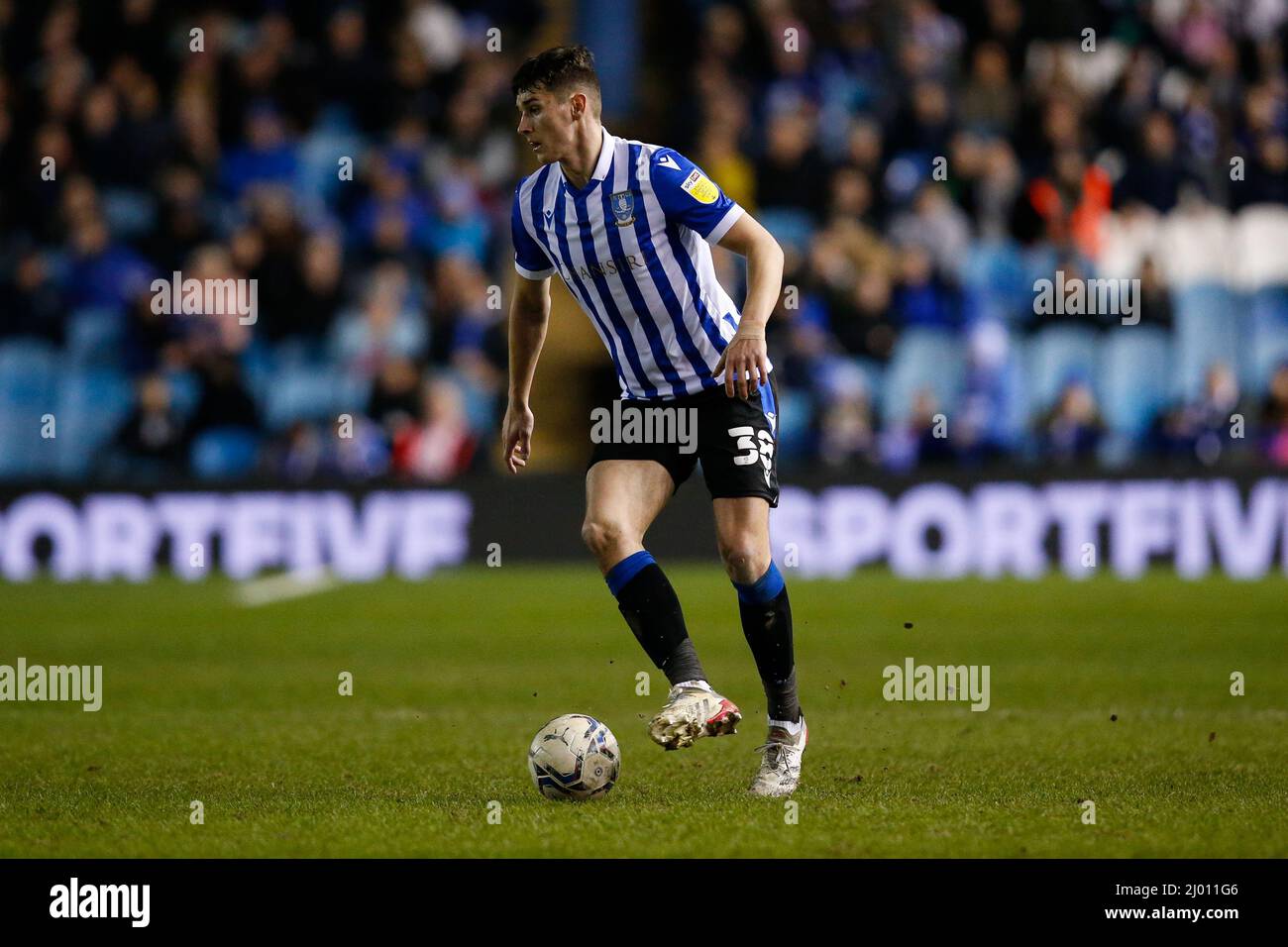 Jordan Storey #38 of Sheffield Wednesday Stock Photo - Alamy