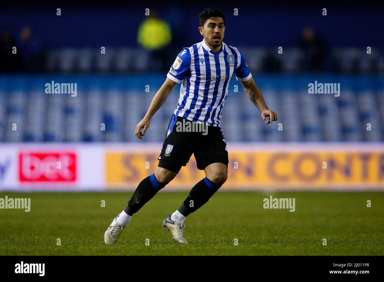 Massimo luongo of sheffield wednesday hi-res stock photography and ...