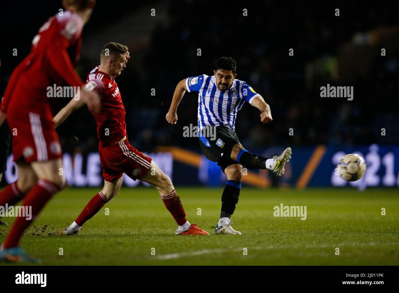 Massimo luongo hi-res stock photography and images - Alamy