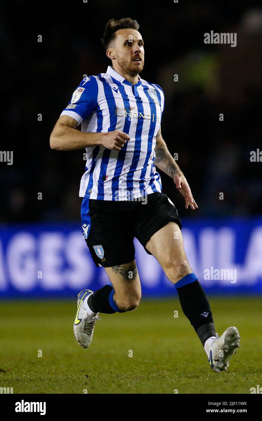 Lee Gregory #9 of Sheffield Wednesday Stock Photo - Alamy