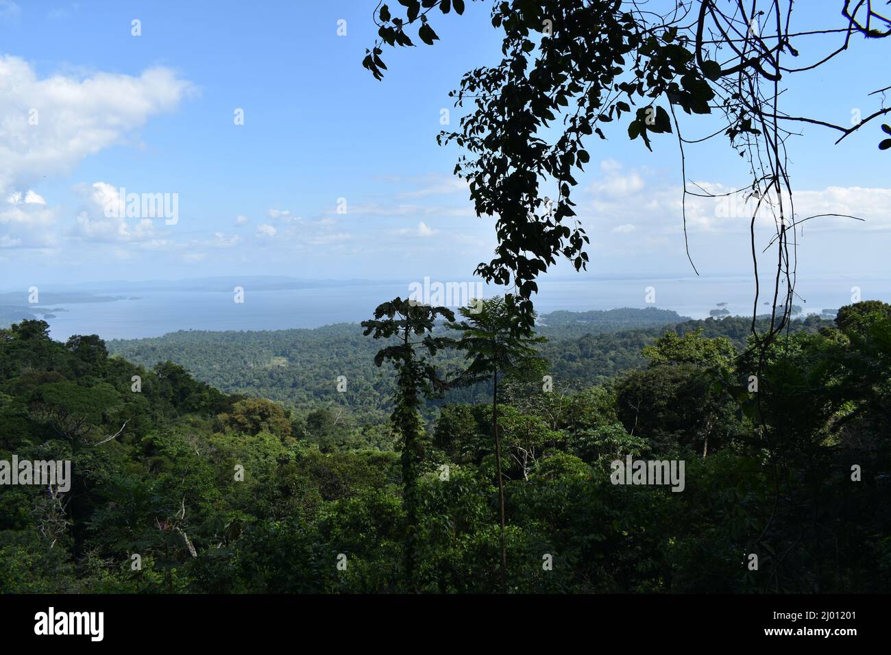 Suriname river under hi-res stock photography and images - Alamy