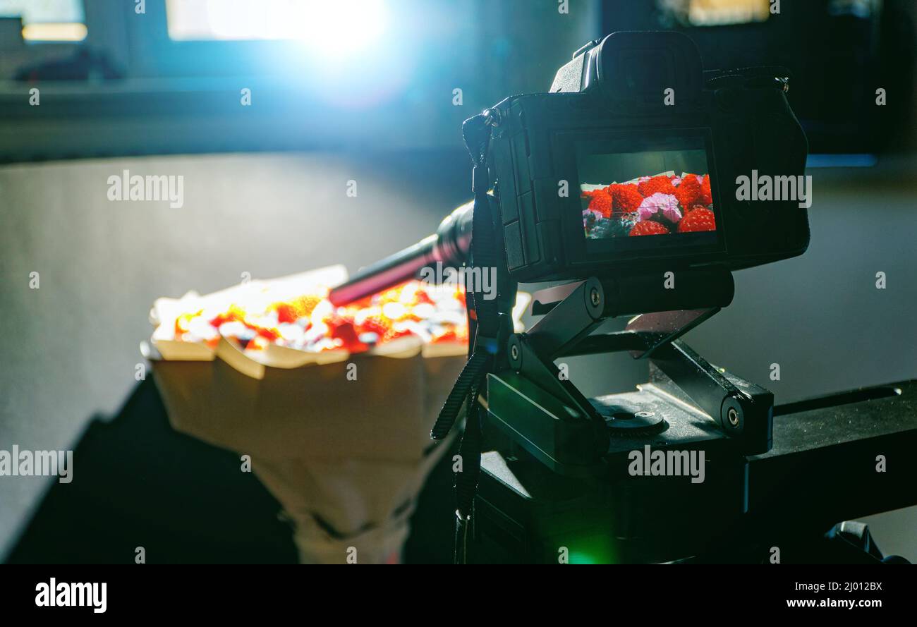 Setup for shooting macro. Camera and slider Stock Photo - Alamy