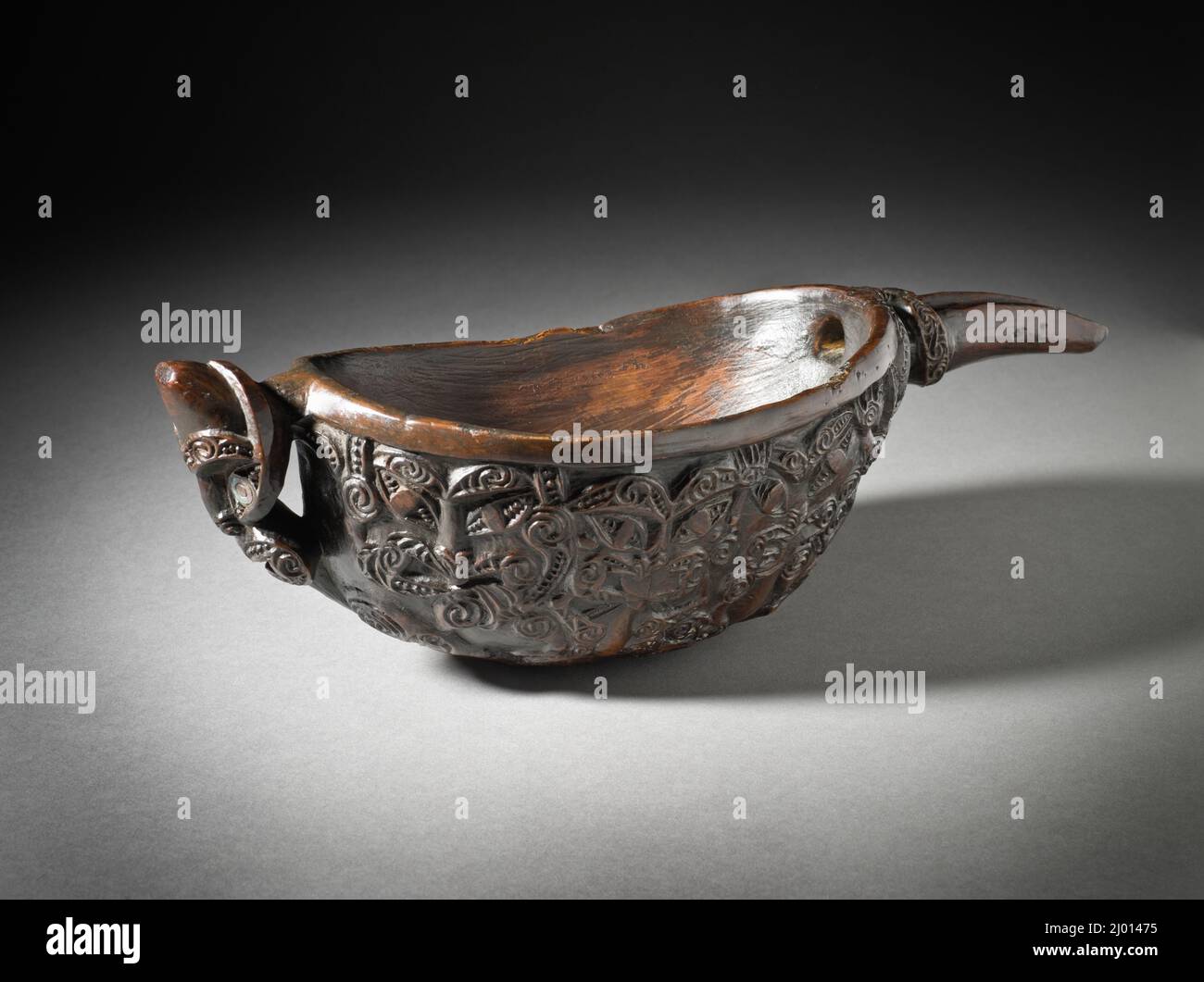 Feeding Funnel (koropata). New Zealand (Aotearoa), Gisborne, Maori ...