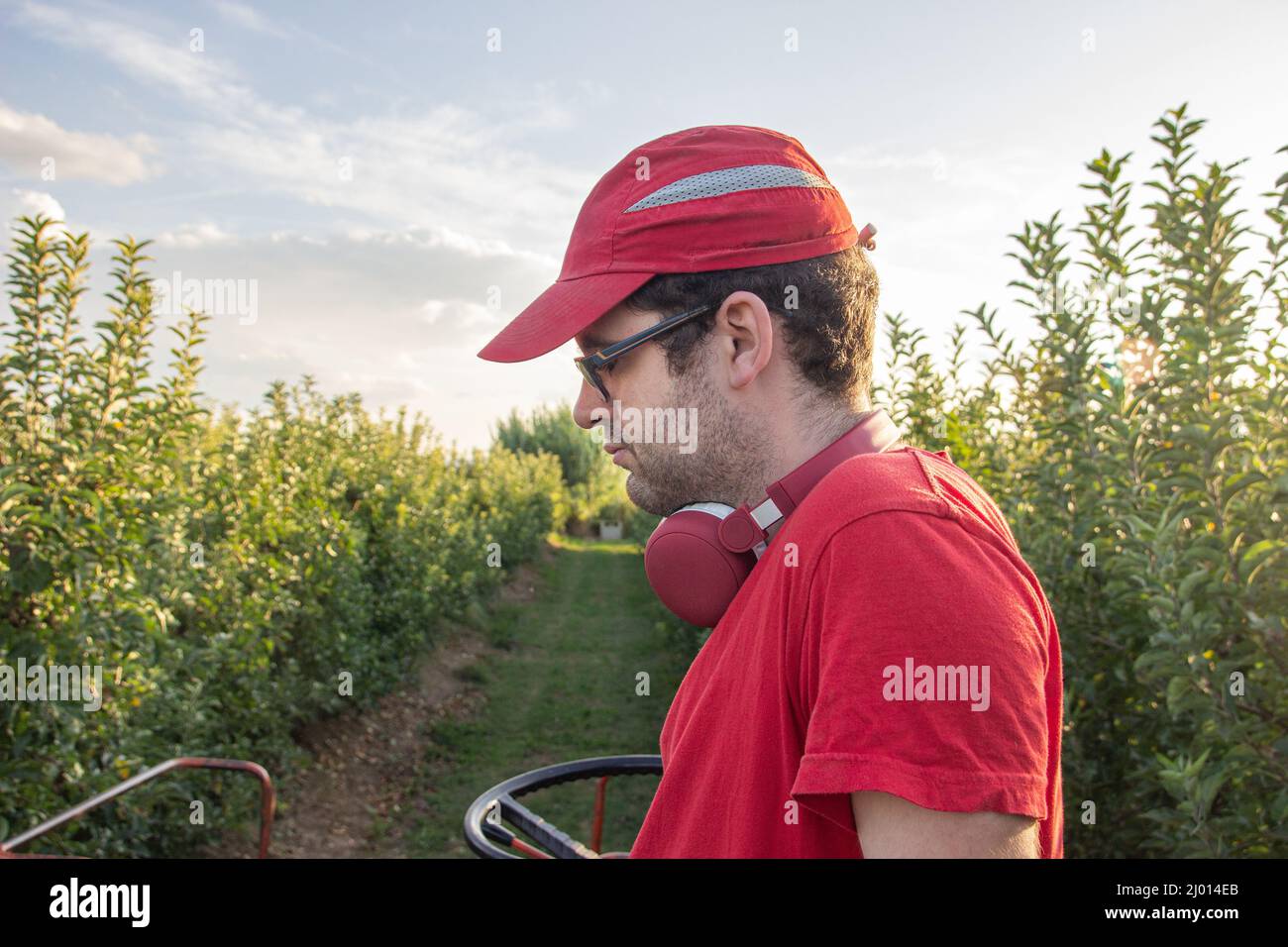 Apple picking machine hi-res stock photography and images - Alamy