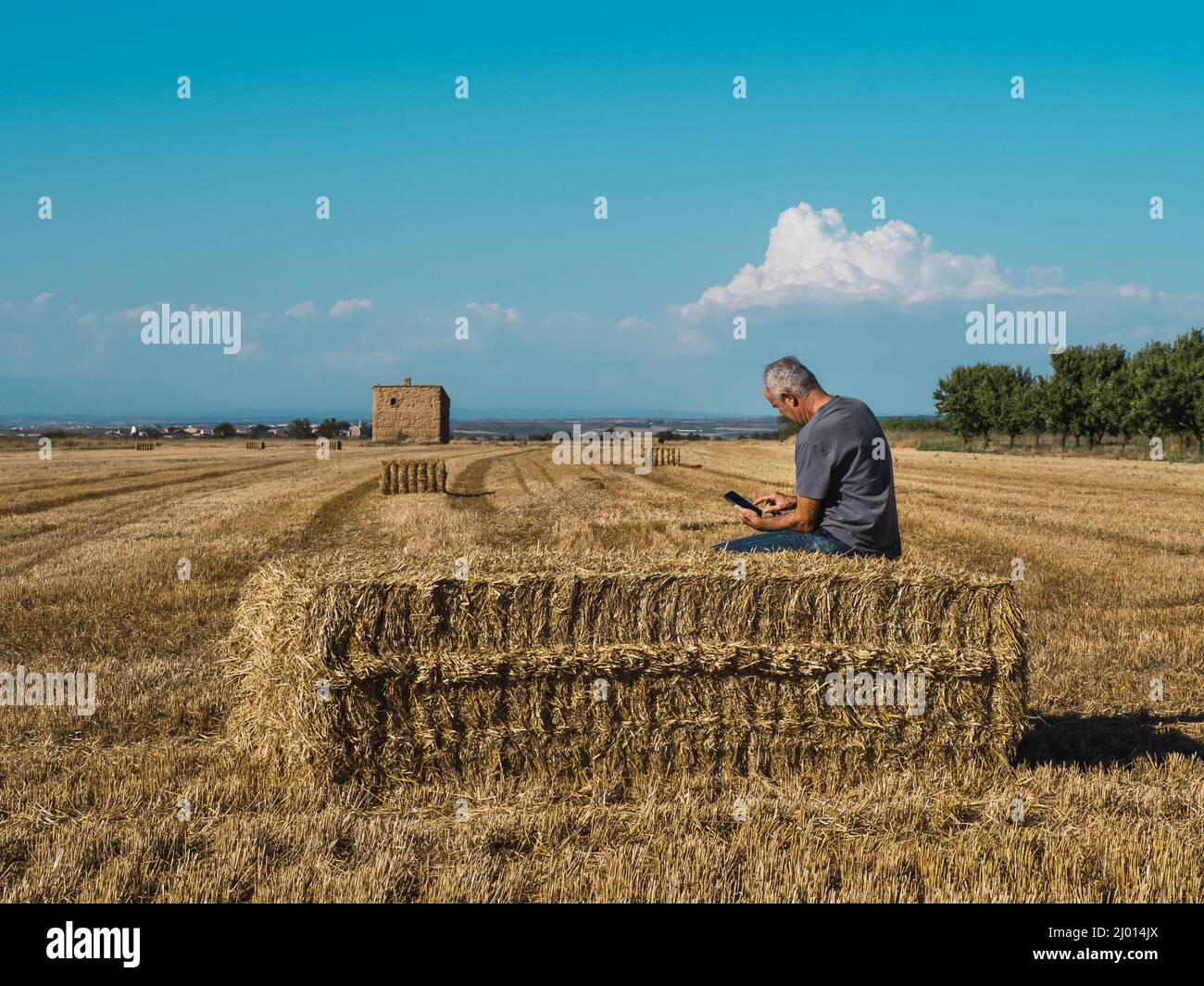Hispanic male farmer using his phone while sitting on harvested hay in ...