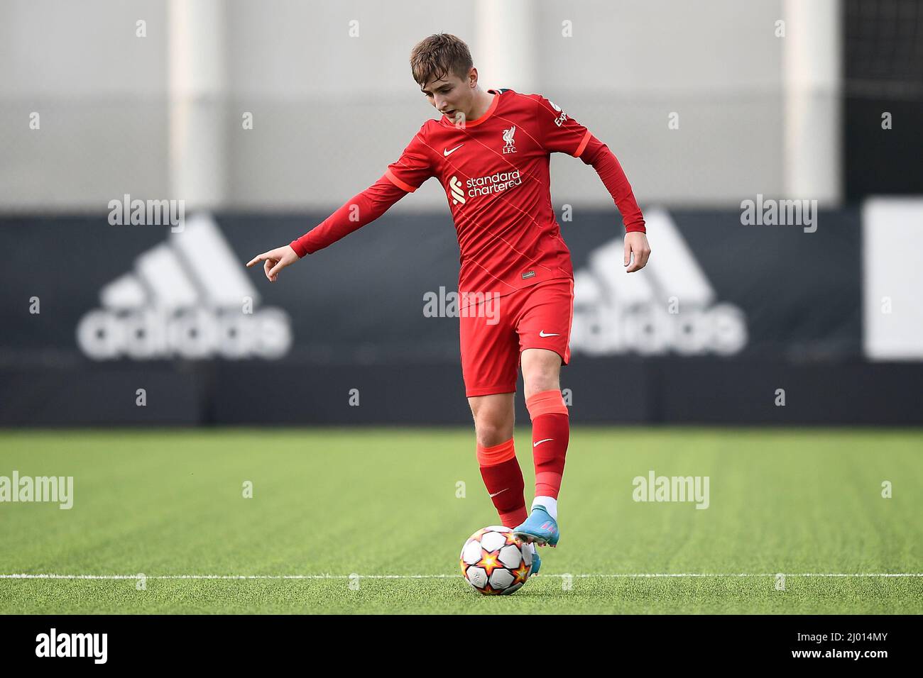 Max woltman hi-res stock photography and images - Alamy