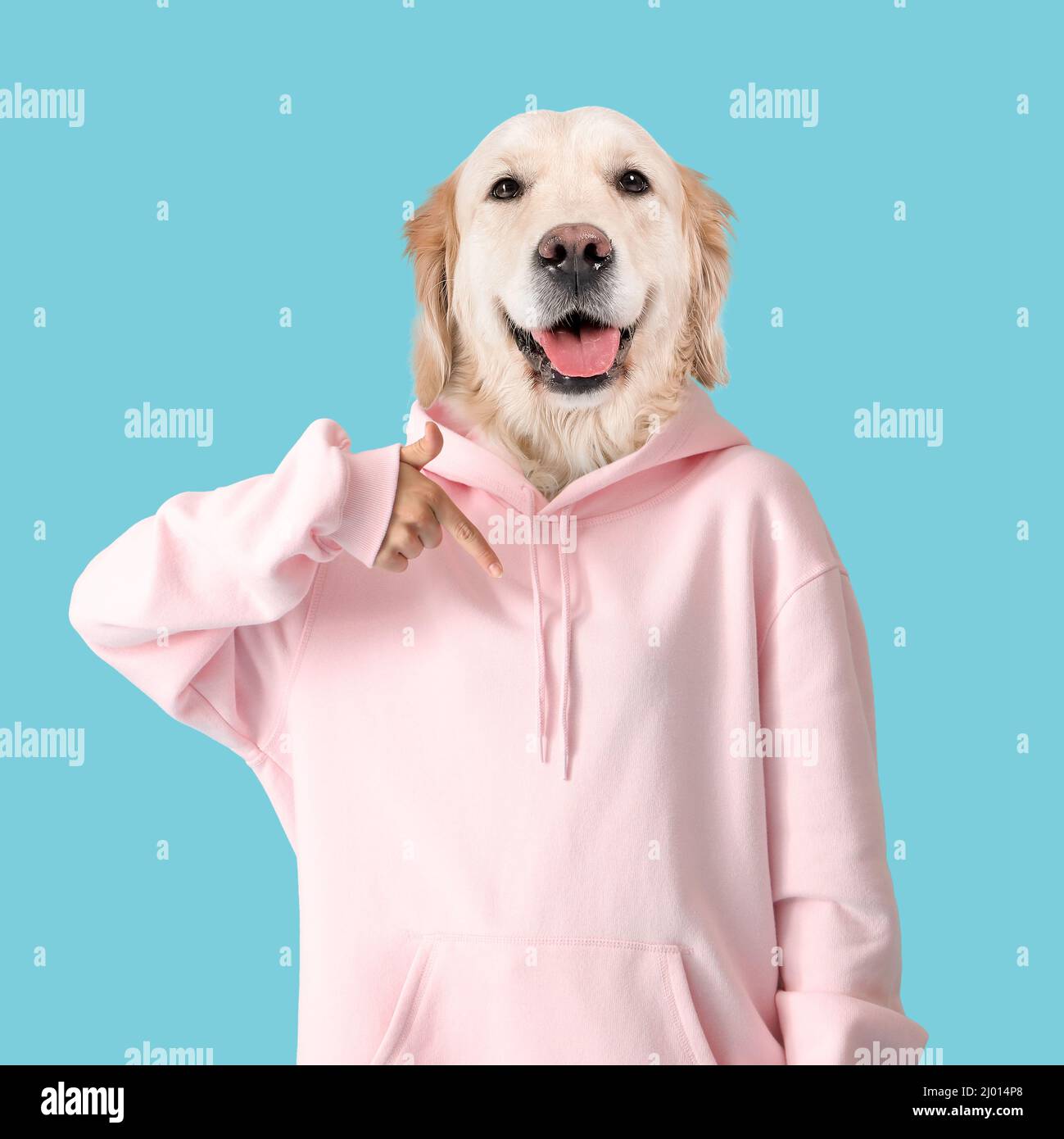 Cute dog with human body on blue background Stock Photo - Alamy