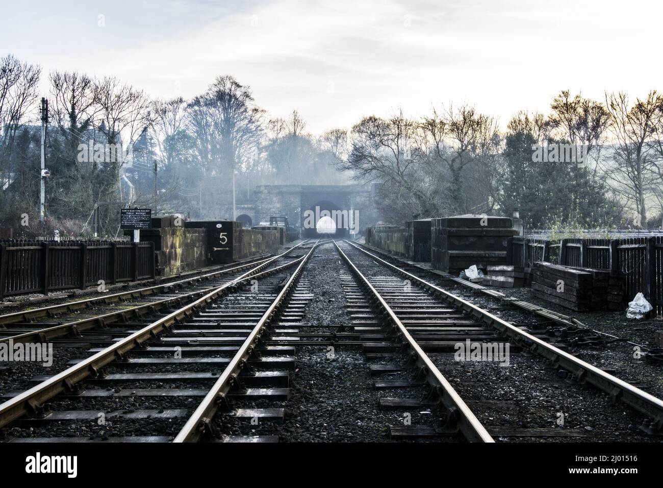 Railway station surrounded by trees Stock Photo - Alamy