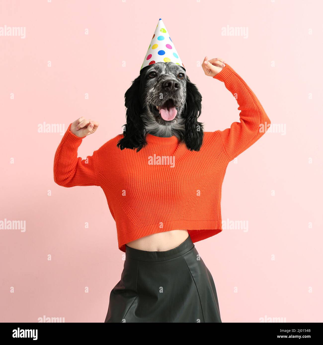 Dancing woman with head of dog and birthday hat on pink background ...