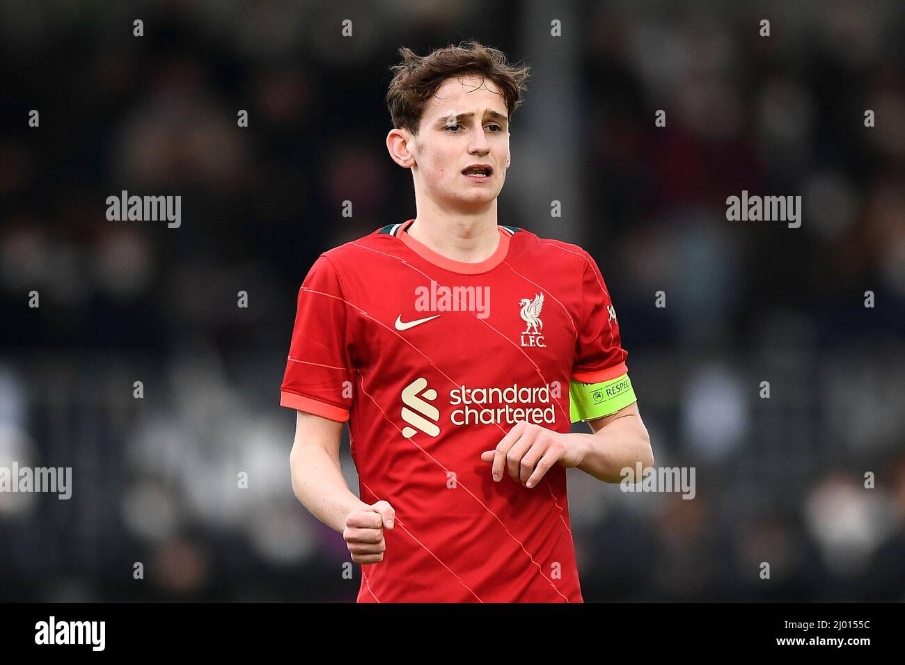 Tyler morton hi-res stock photography and images - Alamy