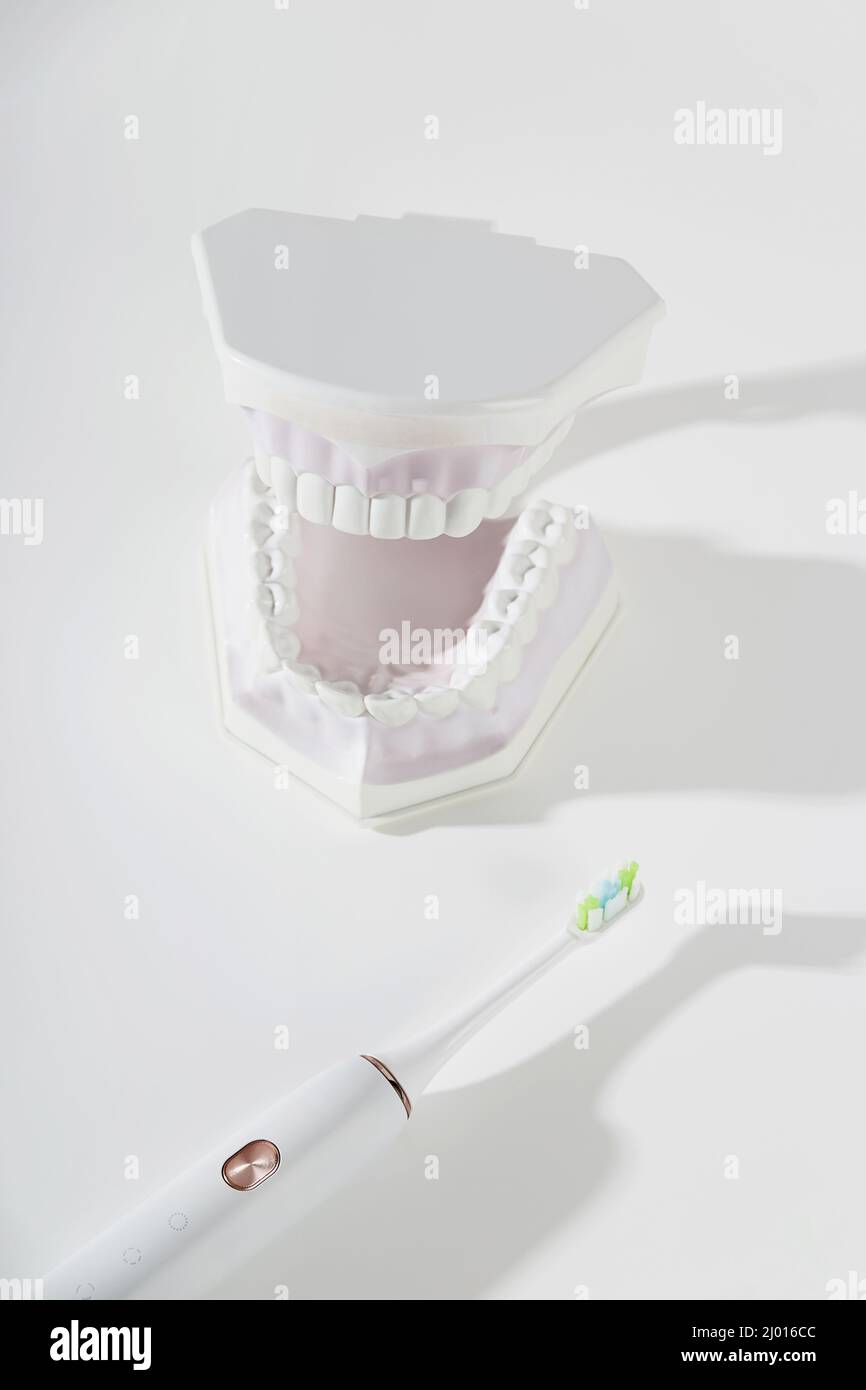 Electronic toothbrush next to jaw model with teeth on white background ...