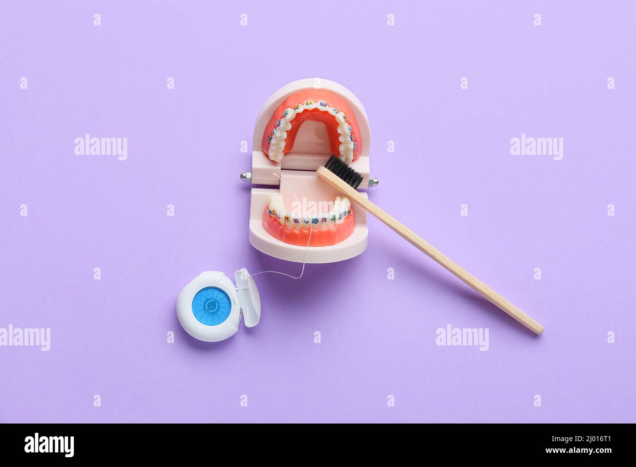 Model of jaw with dental braces, toothbrush and floss on lilac ...