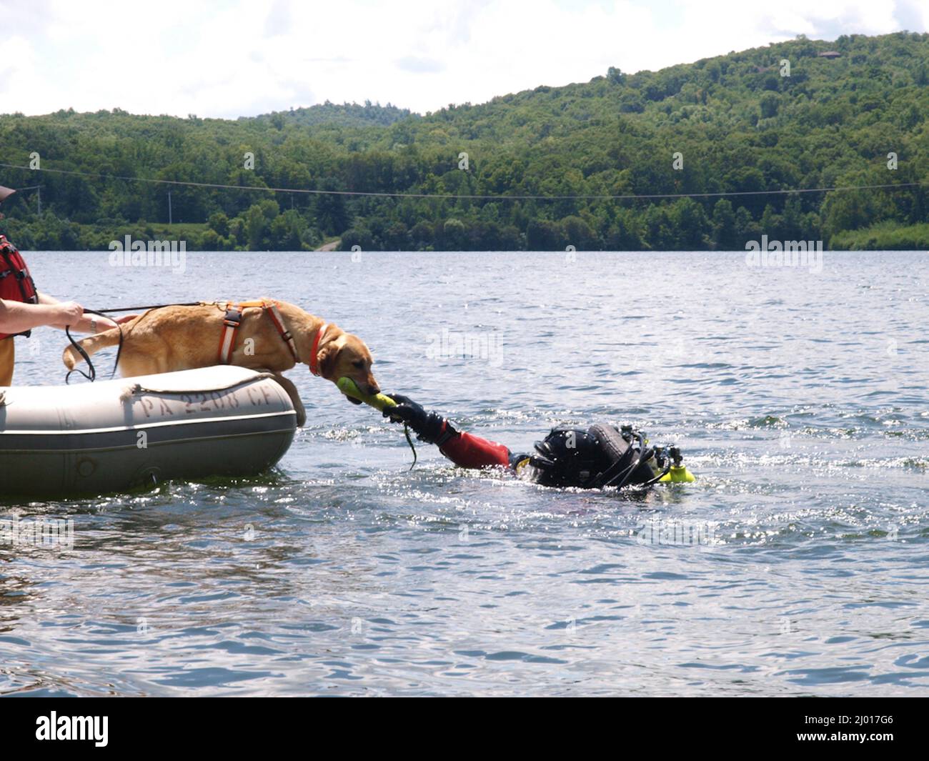 Search and Rescue team water rescue drill Stock Photo - Alamy
