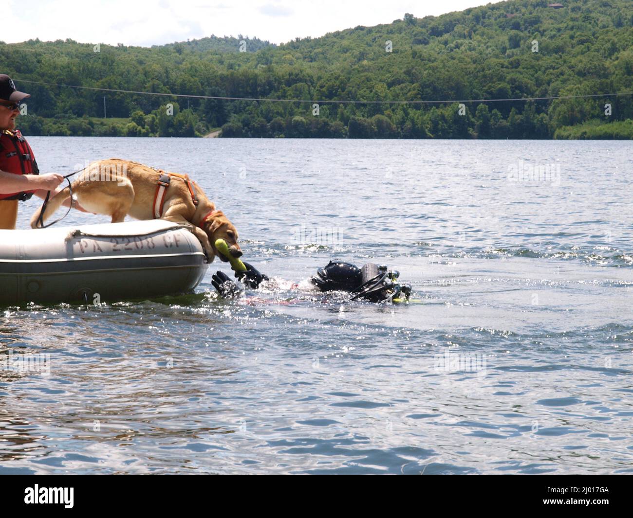 Search and Rescue team water rescue drill Stock Photo - Alamy