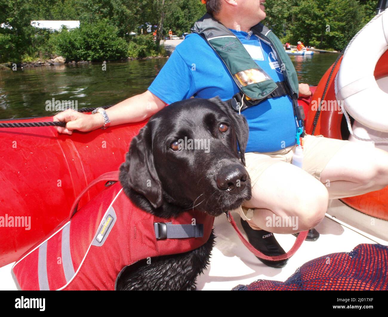 Search and Rescue team water rescue drill Stock Photo - Alamy