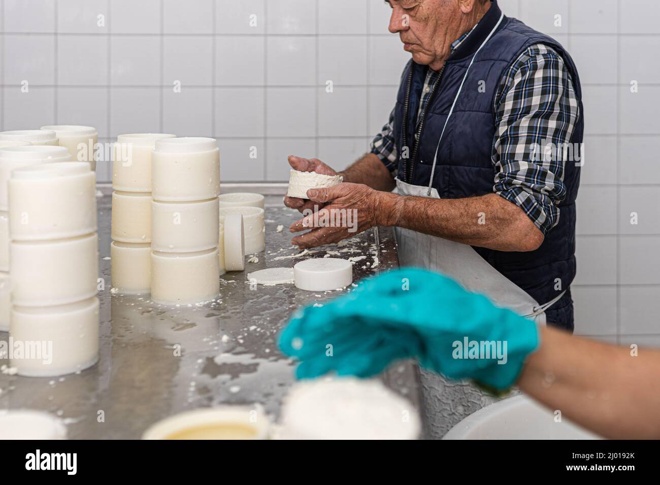 older man unmoulding fresh cheese before pouring it into brine Stock ...