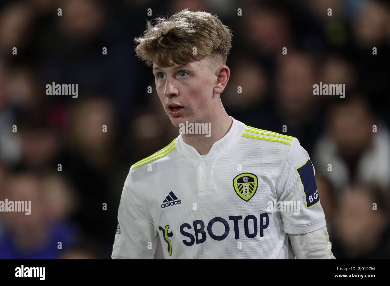 Stuart Mckinstry High Resolution Stock Photography and Images - Alamy