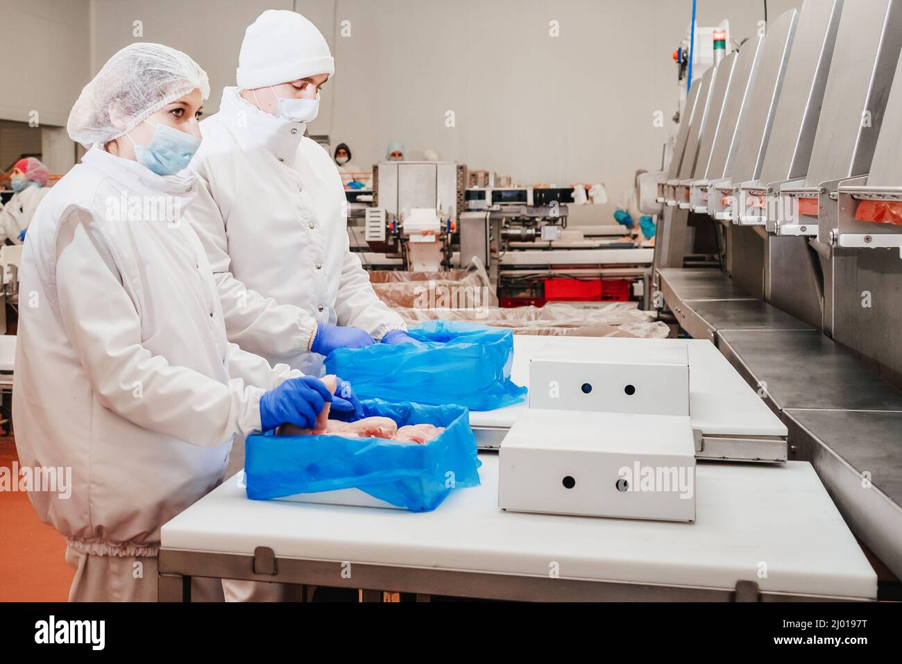 Meat processing plant.Industrial equipment at a meat factory.Modern ...