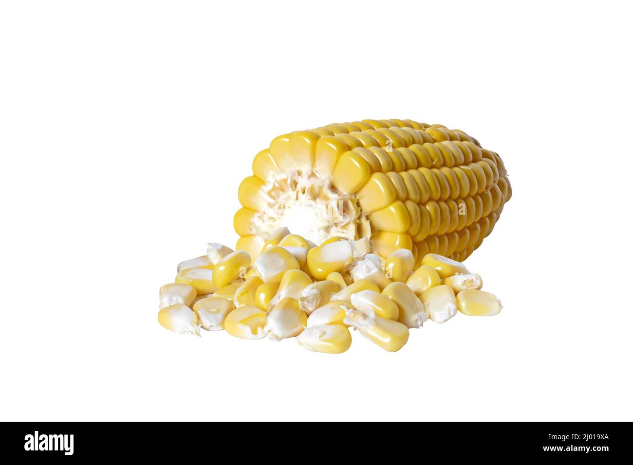 Close-up shot of a cut corn cob isolated on a white background Stock ...